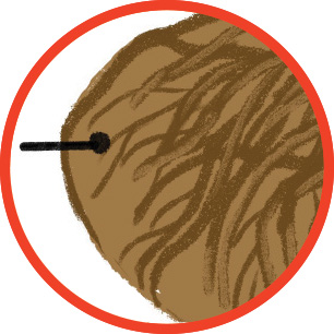 Building Equitable Pathways Racial Equity Framework