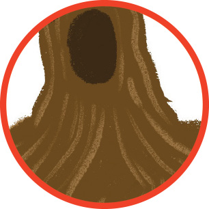 Building Equitable Pathways Racial Equity Framework